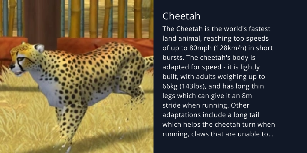 Cheetah - Bot Profile