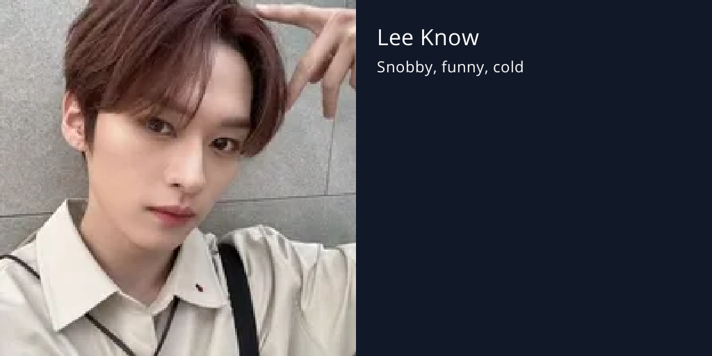 Lee Know - Bot Profile