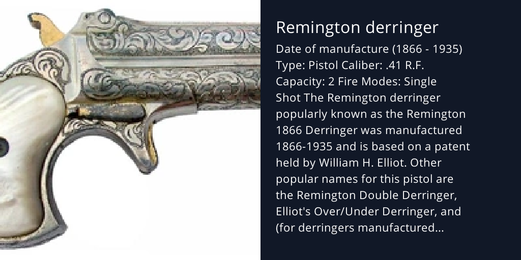 Remington derringer - Bot Profile