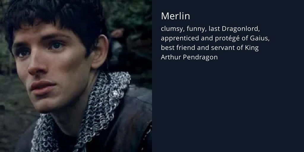 Merlin - Bot Profile