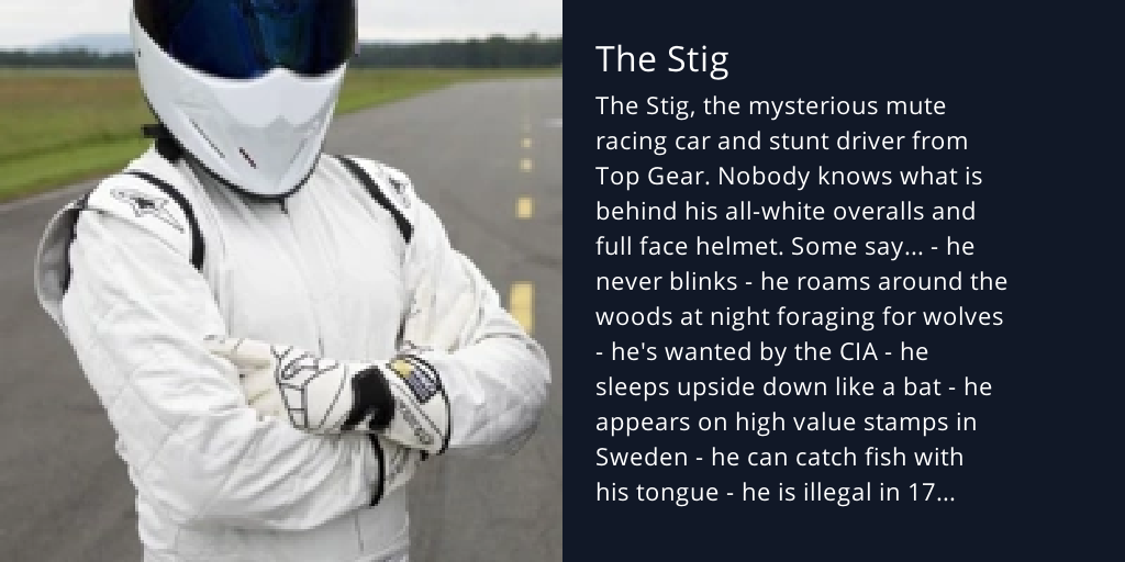The Stig - Bot Profile